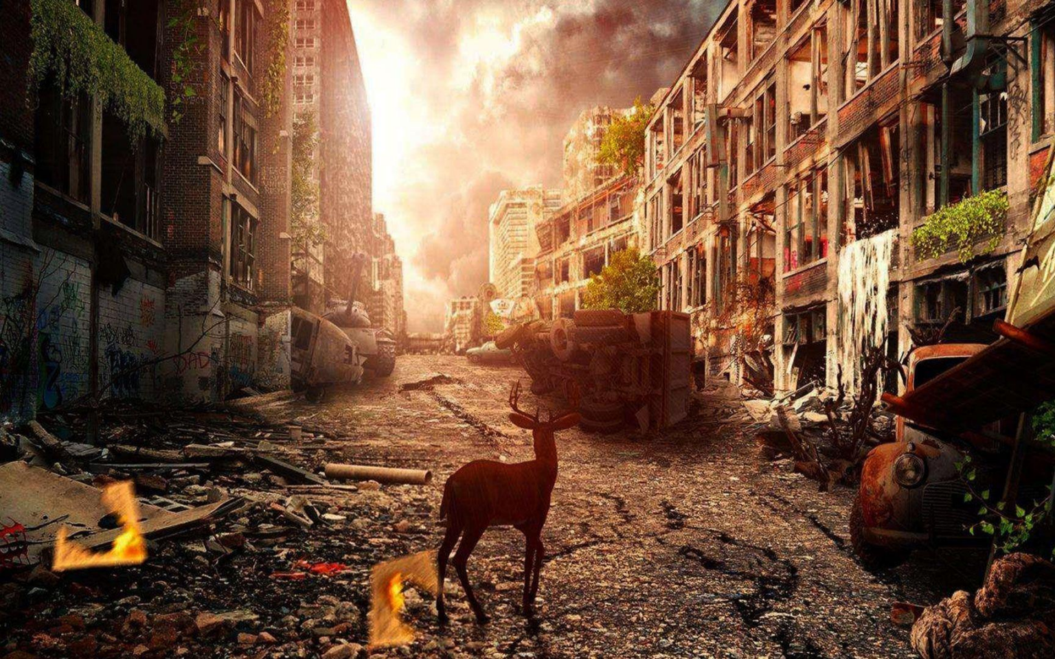 What Would Happen if Humans Suddenly Disappeared from Earth?