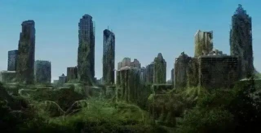 What Would Happen if Humans Suddenly Disappeared from Earth?