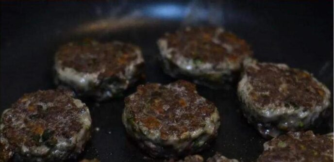 Mosquito Patties: Africa’s Unique Protein-Rich Delicacy - 9pt.com