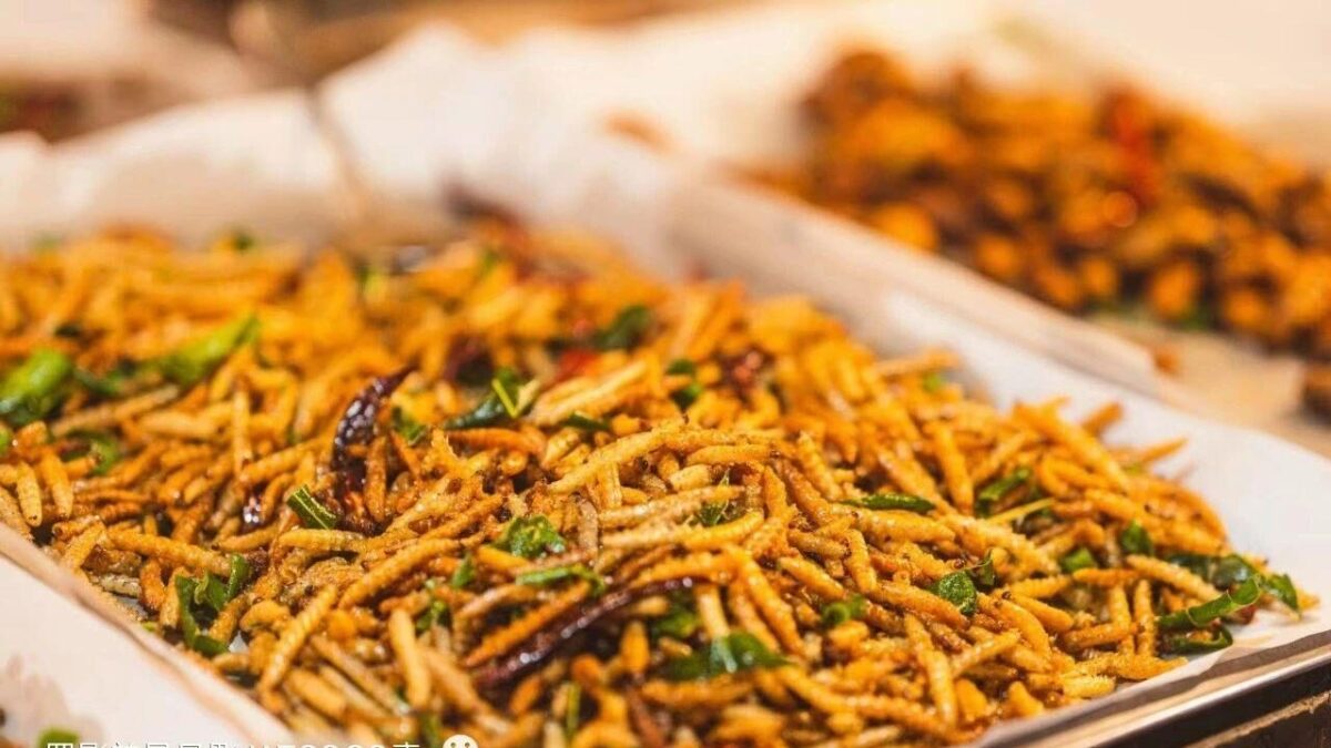 Fried Insects in Bangkok: A Bold and Exotic Thai Food Adventure - 9pt.com