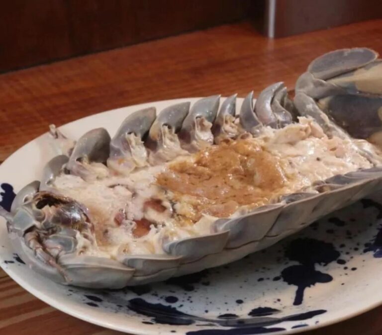 Giant Isopod Ramen: The $40 Deep-Sea Delicacy - 9pt.com