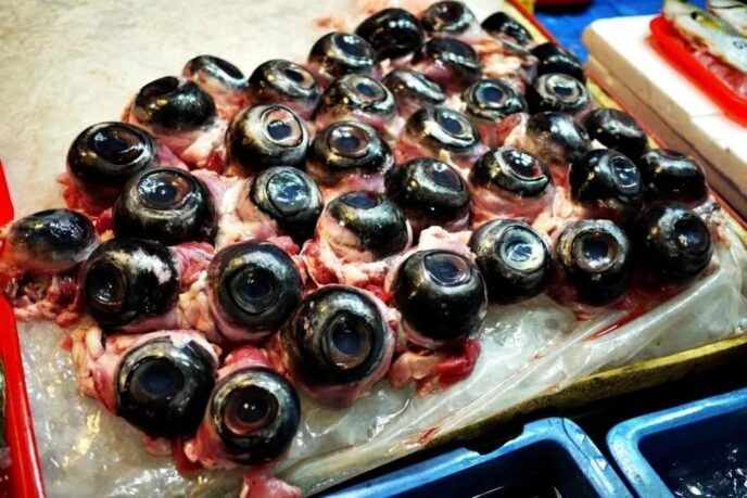 Tuna Eyeball: Would You Try Japan's Strangest Delicacy? - 9pt.com