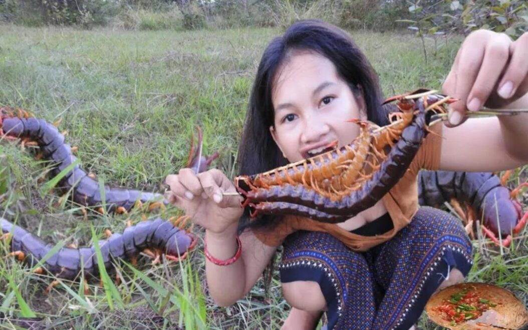 Vietnamese Giant Centipede: A Fearsome Delicacy You Must Try - 9pt.com