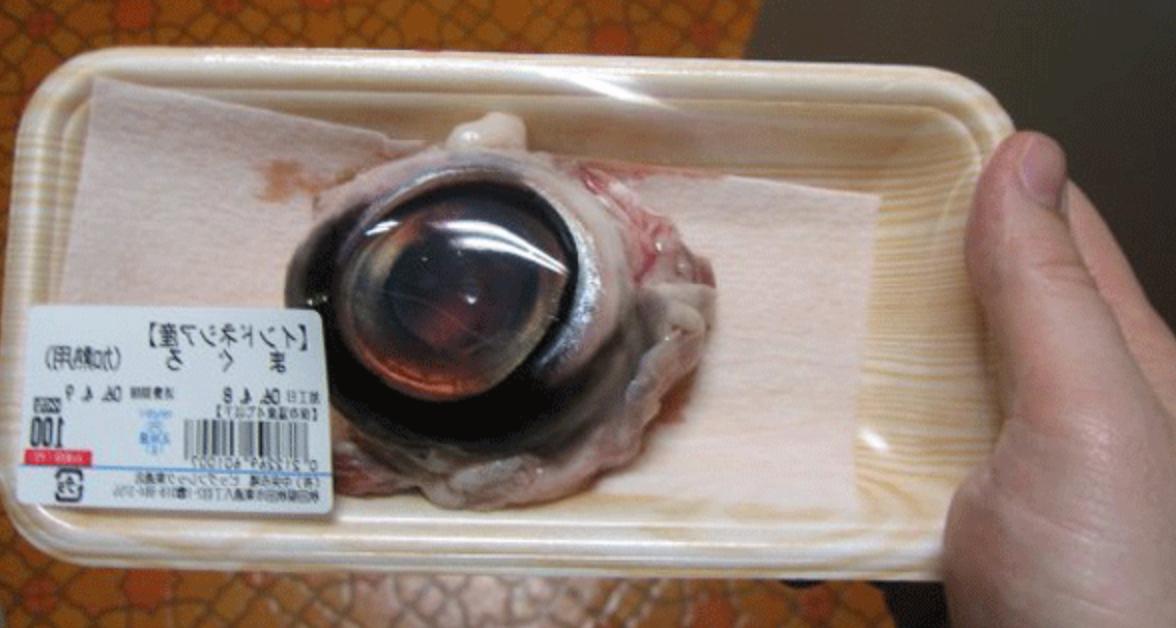 Tuna Eyeball: Would You Try Japan's Strangest Delicacy? - 9pt.com