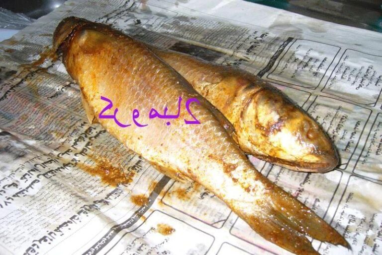 Fesikh: Egypt’s National Dish, A Deadly Taste of Life and Death - 9pt.com