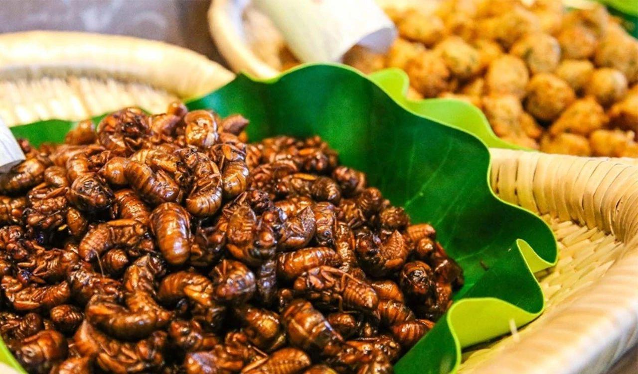 Fried Insects in Bangkok: A Bold and Exotic Thai Food Adventure - 9pt.com