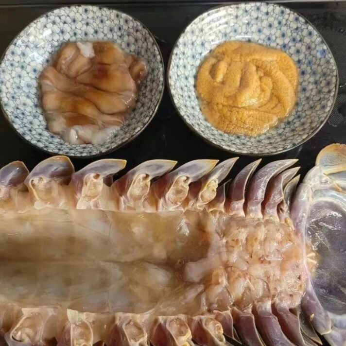Vietnamese Giant Centipede: A Fearsome Delicacy You Must Try - 9pt.com