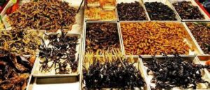 Fried Insects in Bangkok: A Bold and Exotic Thai Food Adventure - 9pt.com