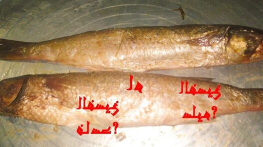 Fesikh: Egypt’s National Dish, A Deadly Taste of Life and Death - 9pt.com