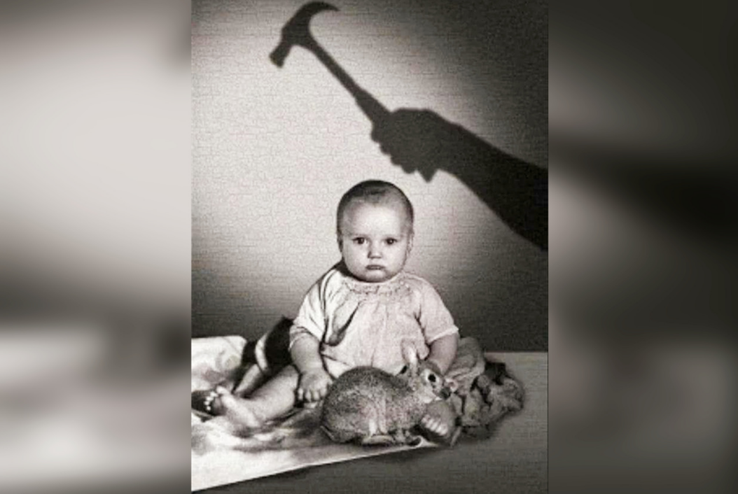 Little Albert Experiment: The Ethical Controversy of Human Testing