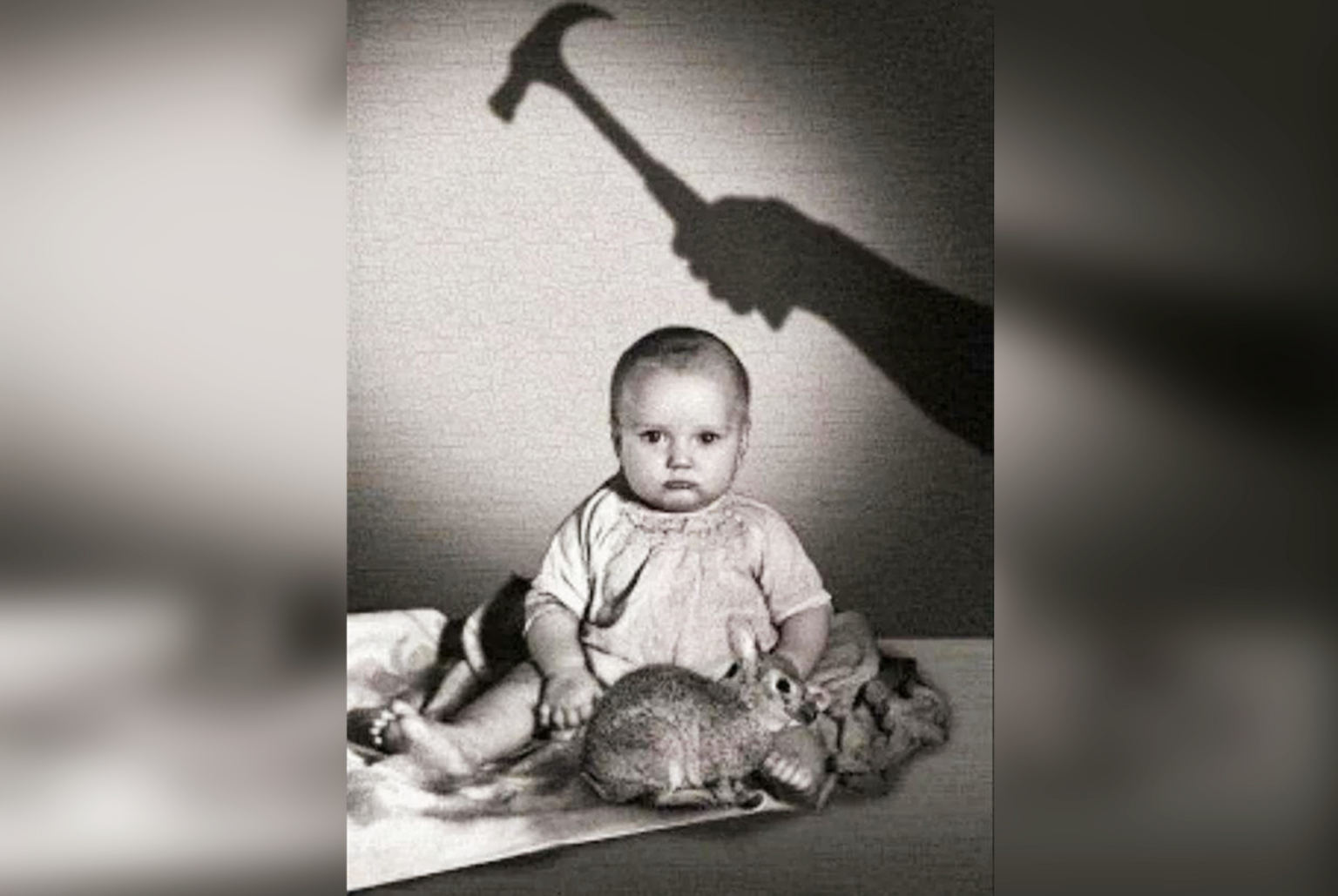 Little Albert Experiment: The Ethical Controversy of Human Testing