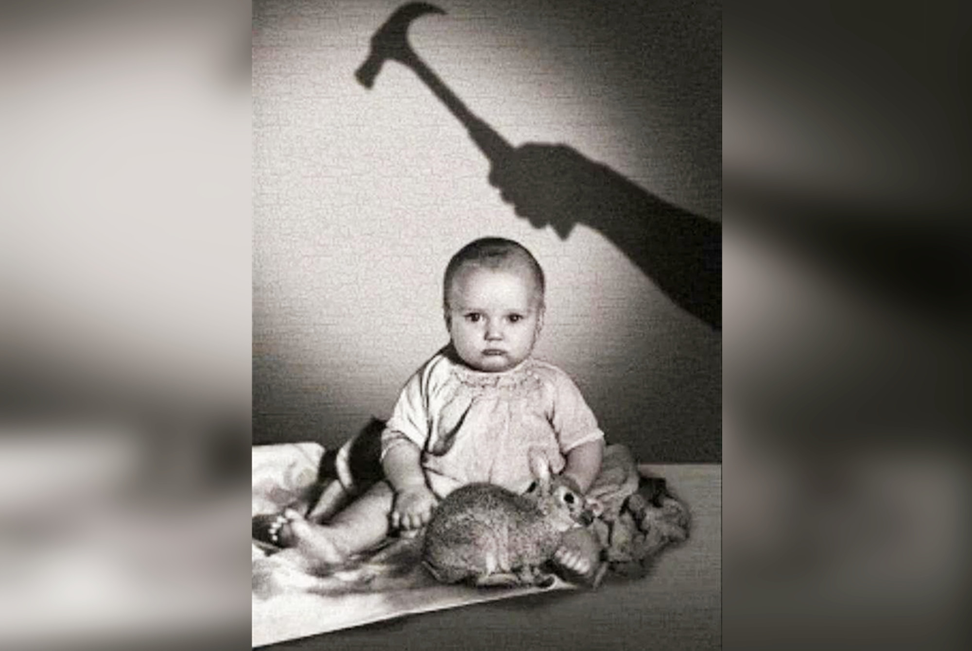 Little Albert Experiment: The Ethical Controversy of Human Testing