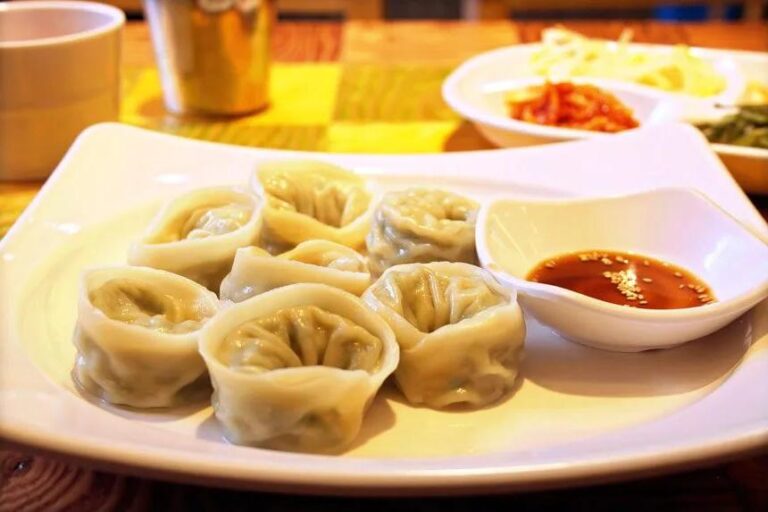 Global Dumpling Guide – Best Dumplings Worldwide! - 9pt.com