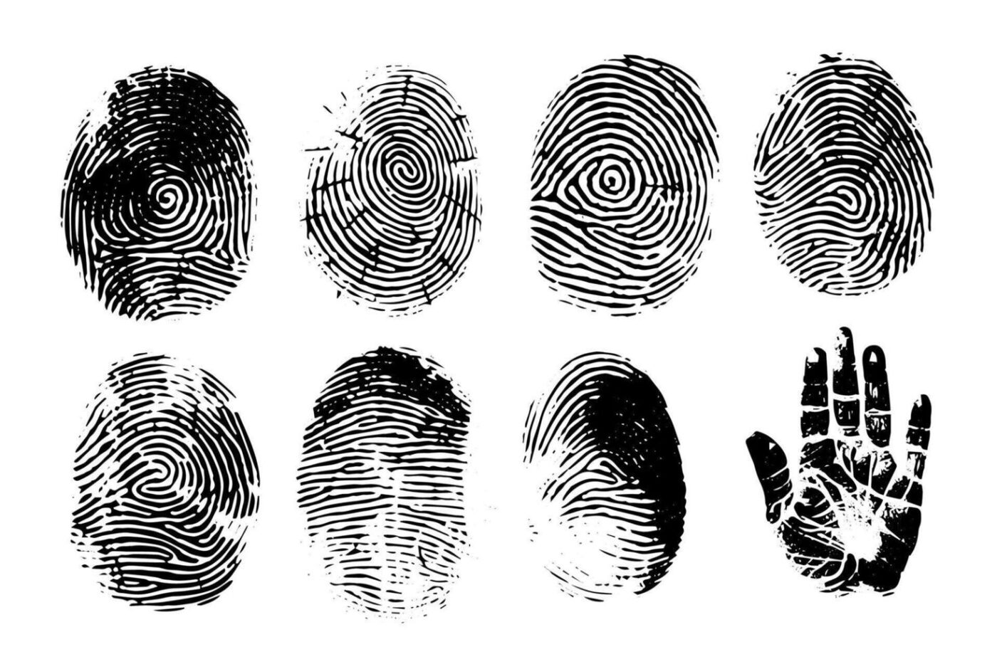 Fingerprints After Death: Can They Be Used for Identification or