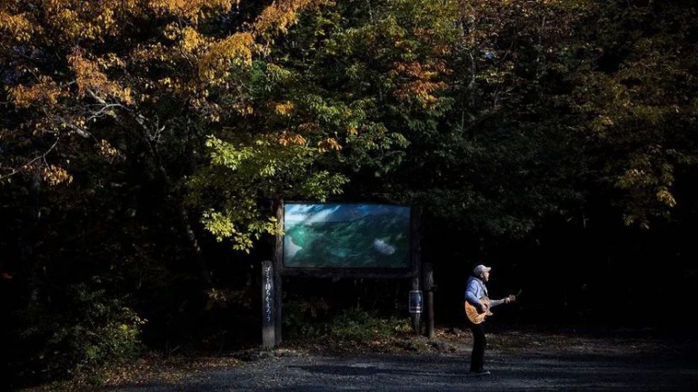 Aokigahara Forest: La forêt d'Aokigahara, surnommée le "bois des ...