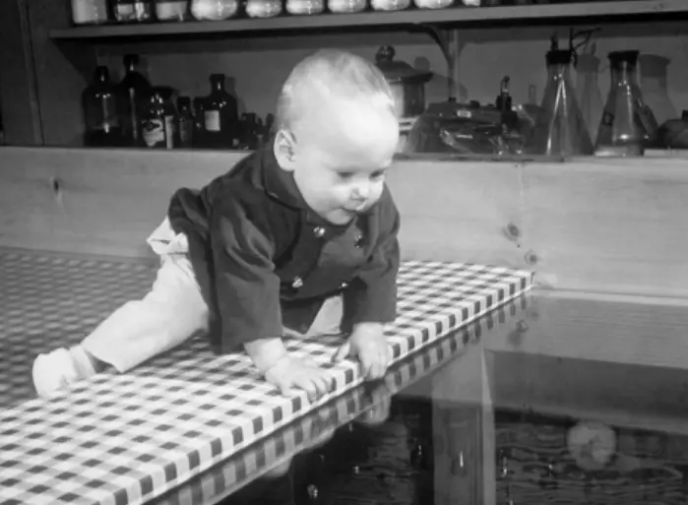 Little Albert Experiment: The Ethical Controversy of Human Testing