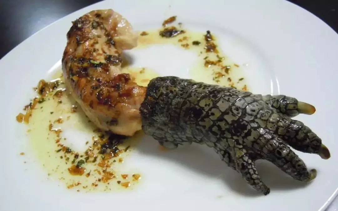 Australian Weird Foods: 10 Most Bizarre Dishes You Must See! - 9pt.com