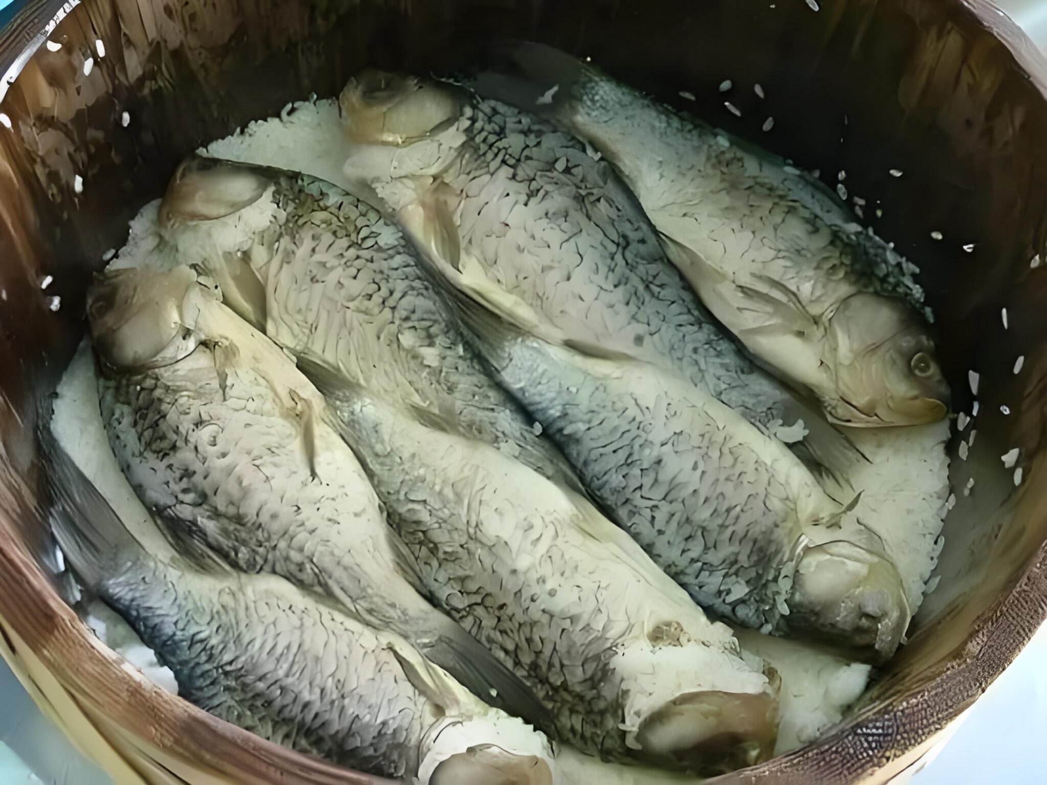 História do sushi: da preservação antiga à delicadeza moderna - 9pt.com